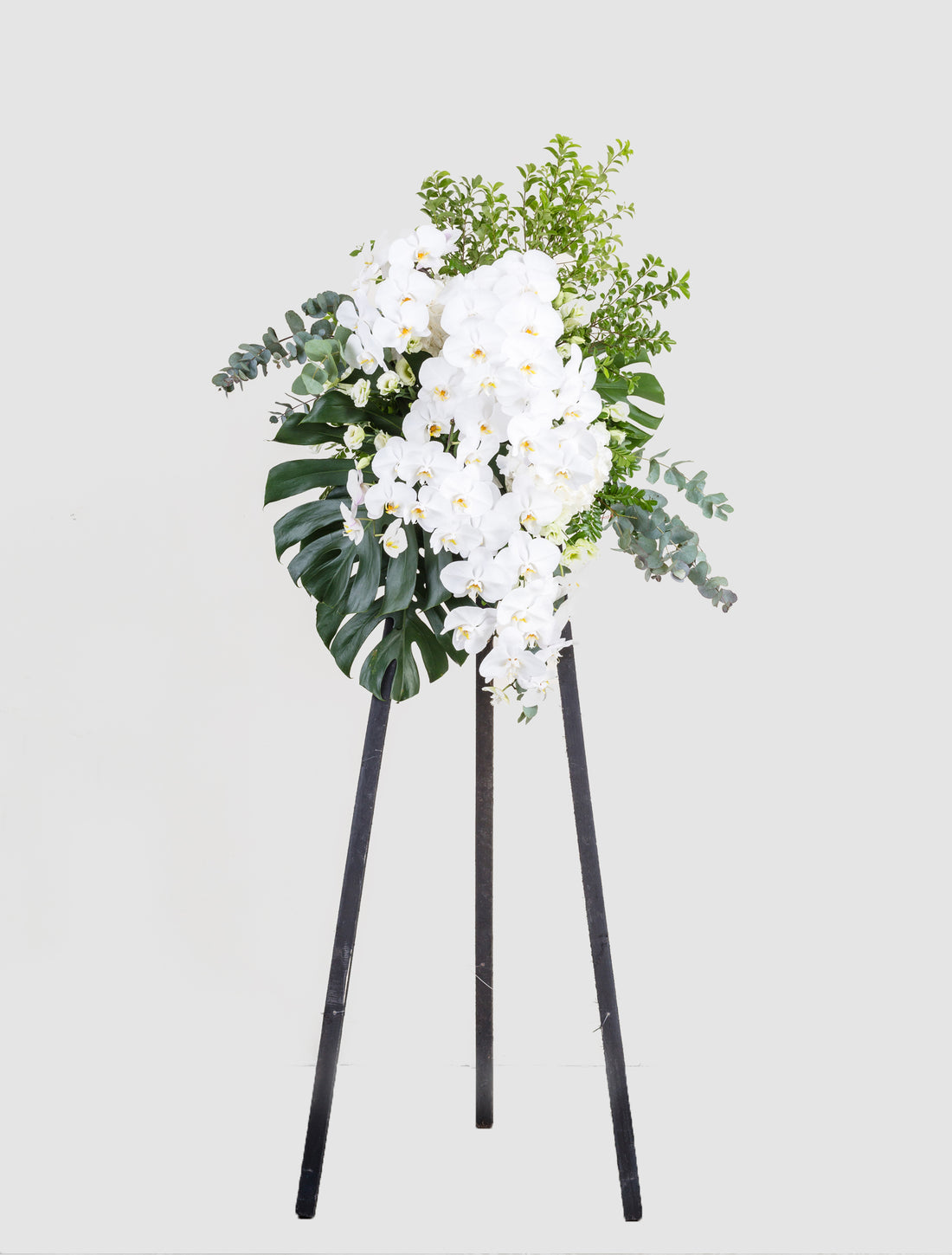 Timeless Memories – BLOOMS & BLOSSOMS